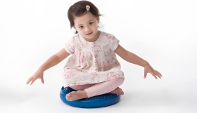 Wobble Cushion 35cm | Buy Online Now | Algeos