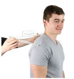 Baseline Body Level | Algeos