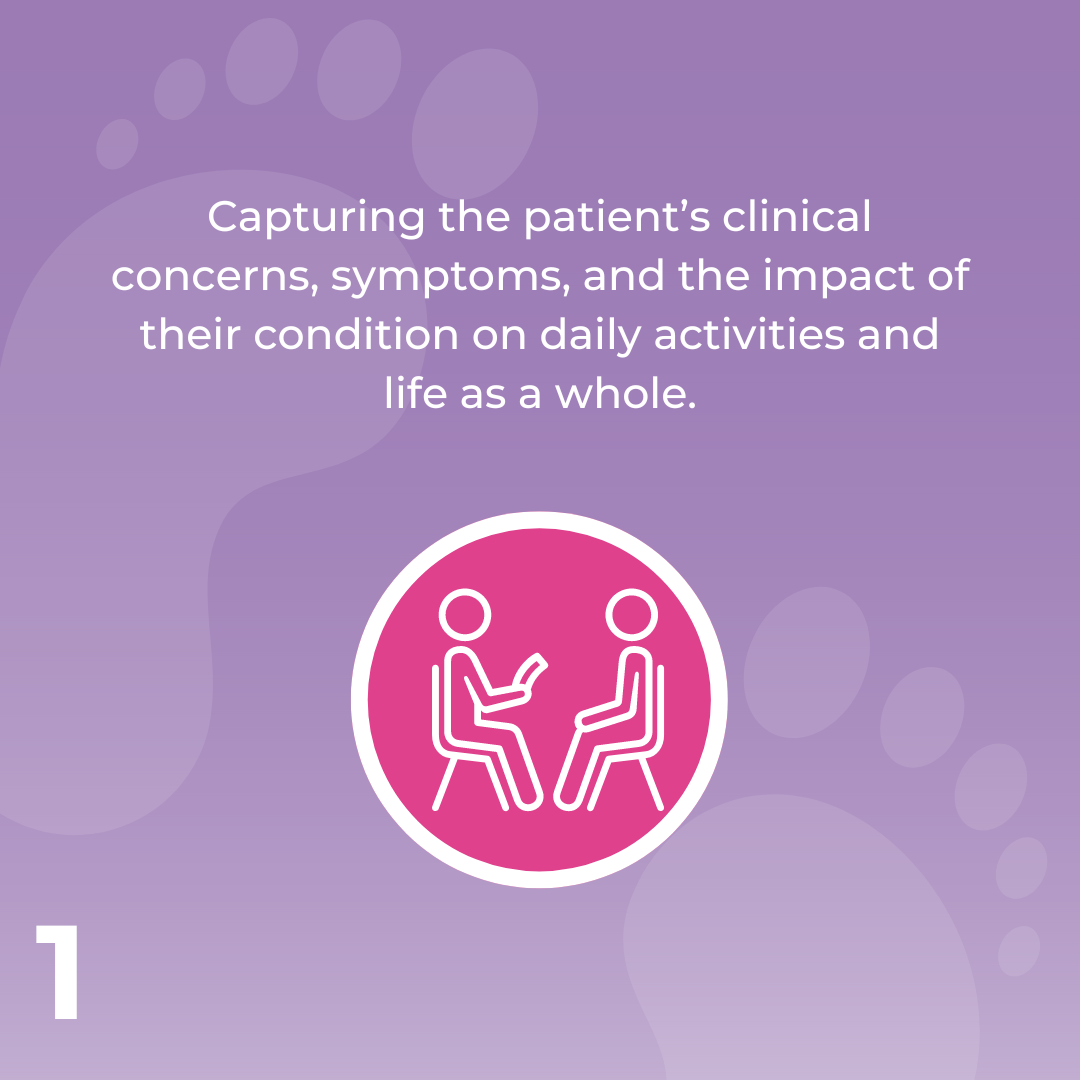 Algeos Academy | Algeos