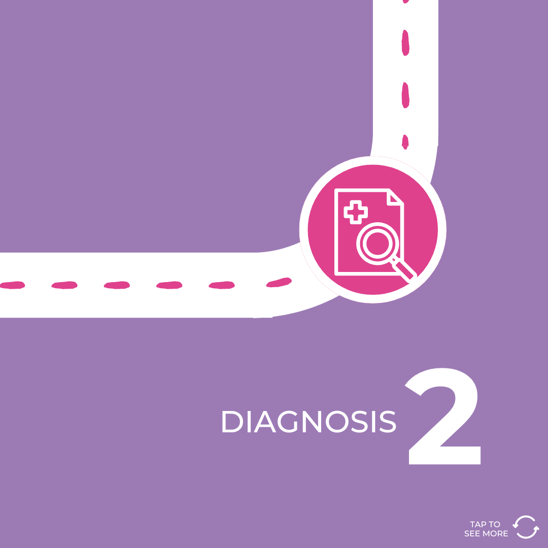 Algeos Academy | Algeos